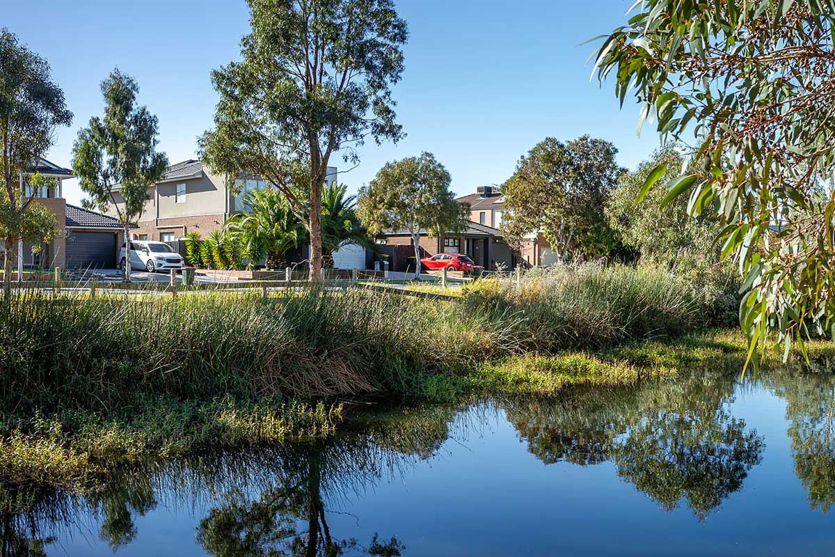 DA Arborist Reports – Blacktown Council | Level 5 Tree Reports ...
