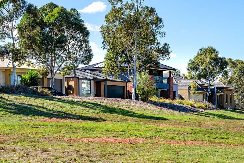 DA Arborist Reports – Blacktown Council | Level 5 Tree Reports ...